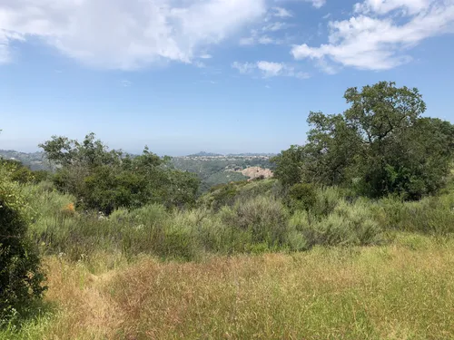 10 Best Hikes and Trails in Daley Ranch | AllTrails