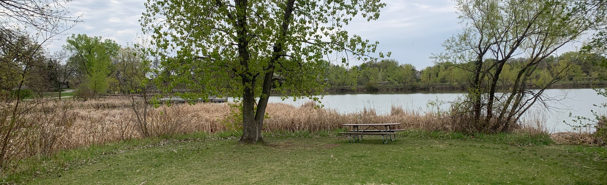 Rosland Park Loop, Minnesota - 73 Reviews, Map | AllTrails