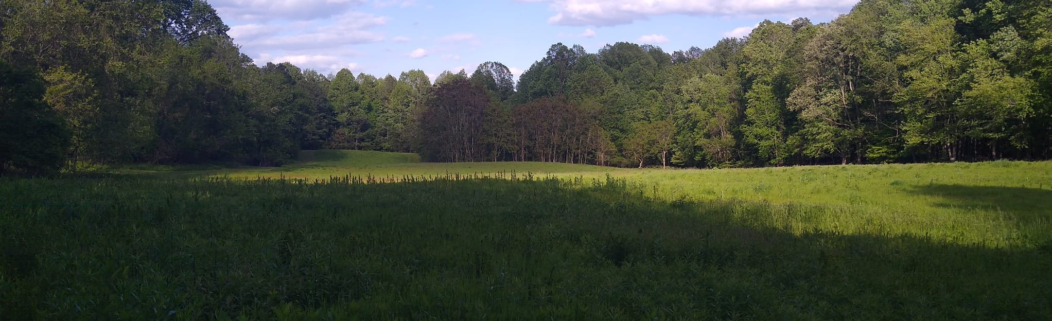 Green Trail to Water Trail Campsite: 26 Reviews, Map - Maryland | AllTrails