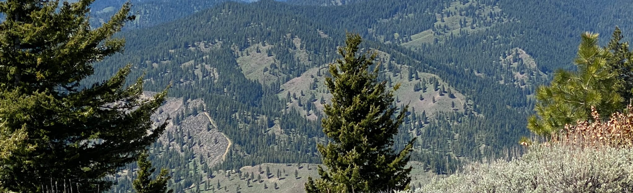 Burch Mountain Summit, Washington - 35 Reviews, Map | AllTrails