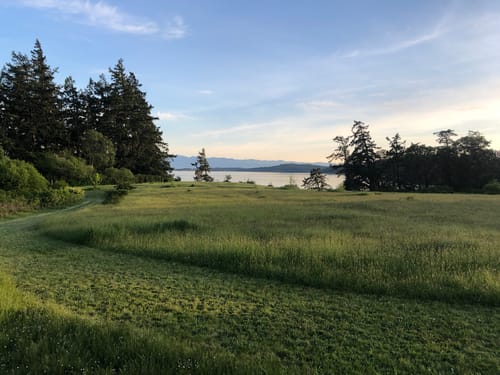 2023 Best 10 Easy Trails in Metchosin | AllTrails