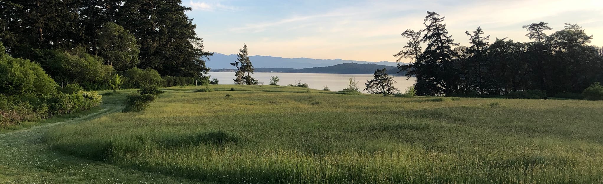 Witty's Lagoon Loop: 71 Reviews, Map - British Columbia, Canada | AllTrails