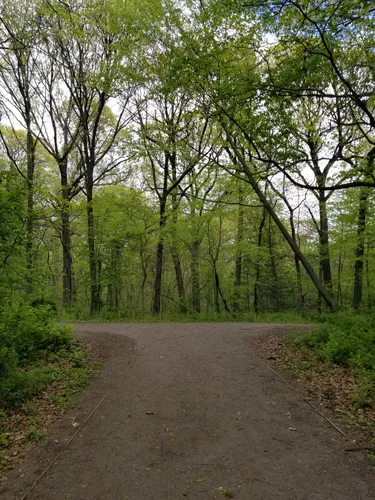 Best Forest Trails in Forest Park Preserve | AllTrails