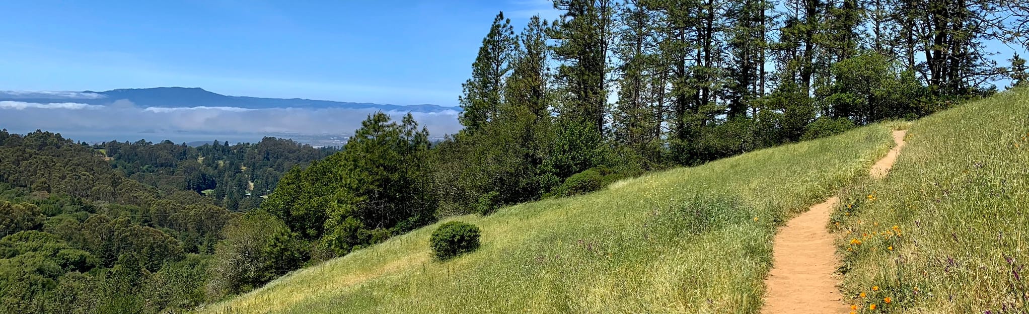 Seaview Trail, Big Springs Trail, and Vollmer Peak Trail Loop ...