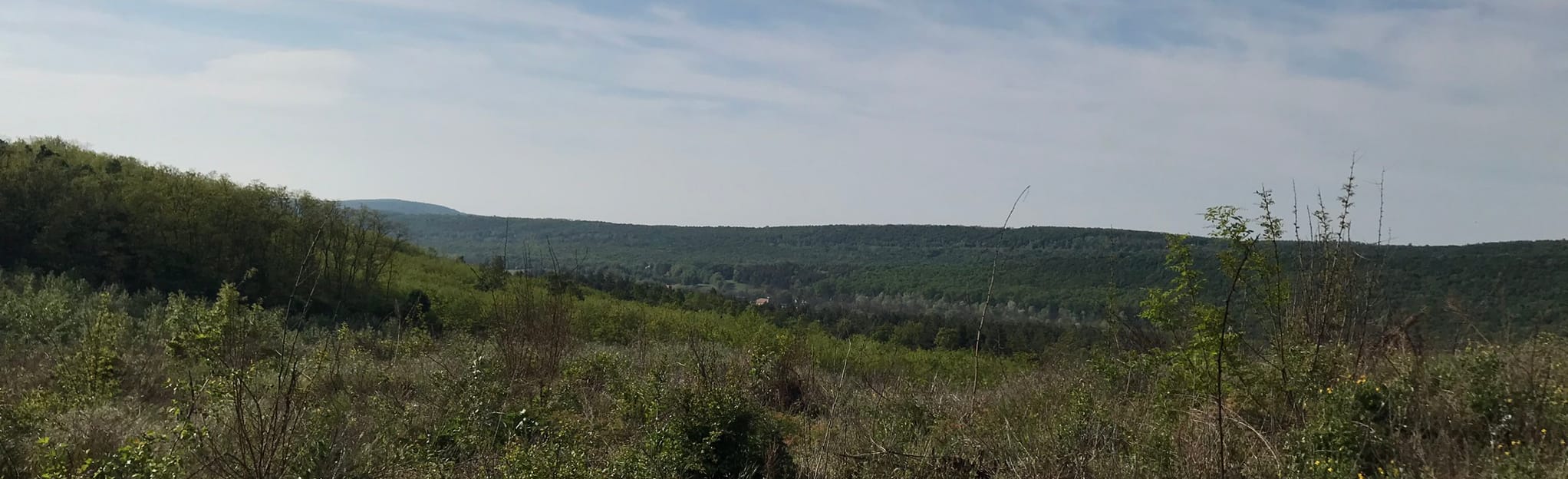 Trianon Memorial Place - Margita - Babat Puszta: 13 Reviews, Map - Pest ...