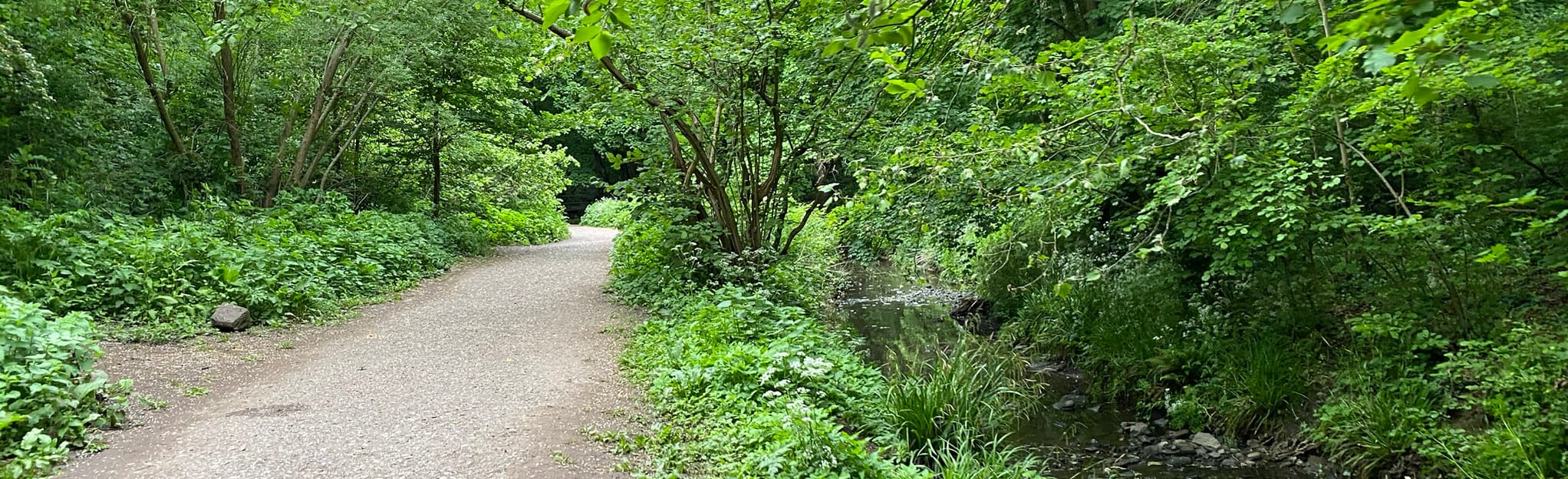 Nightingale Valley to St. Anne's Wood Circular | Map, Guide - Bristol ...