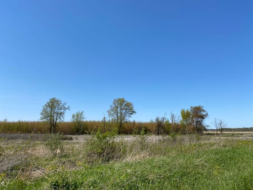 Best Hikes and Trails in Midewin National Tallgrass Prairie | AllTrails