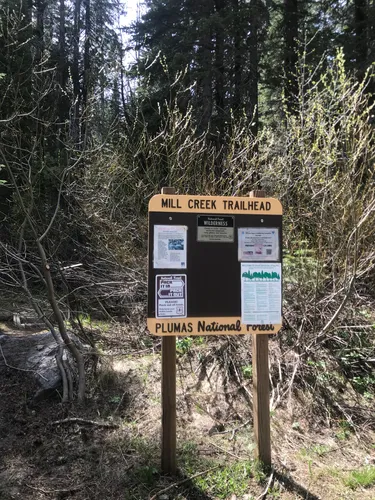 Best Hikes and Trails in Bucks Lake Wilderness | AllTrails