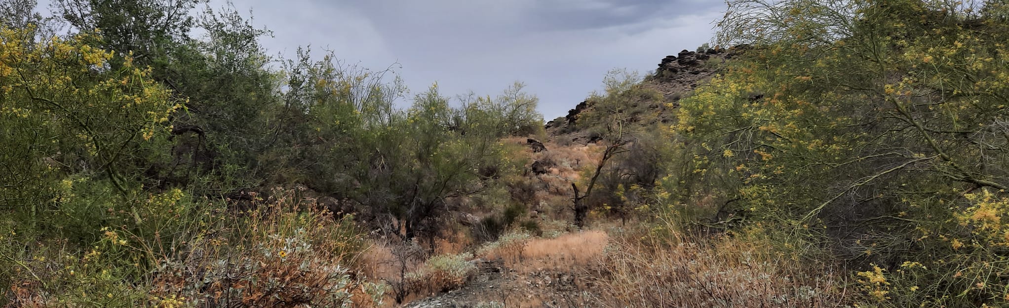 Geronimo Trail - Arizona | AllTrails