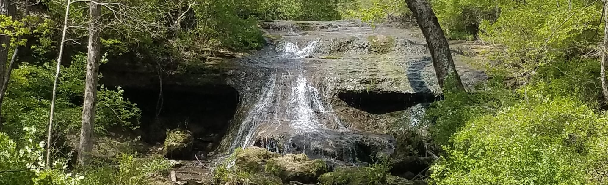 Tecumseh Trail, Ohio - 109 Reviews, Map | AllTrails