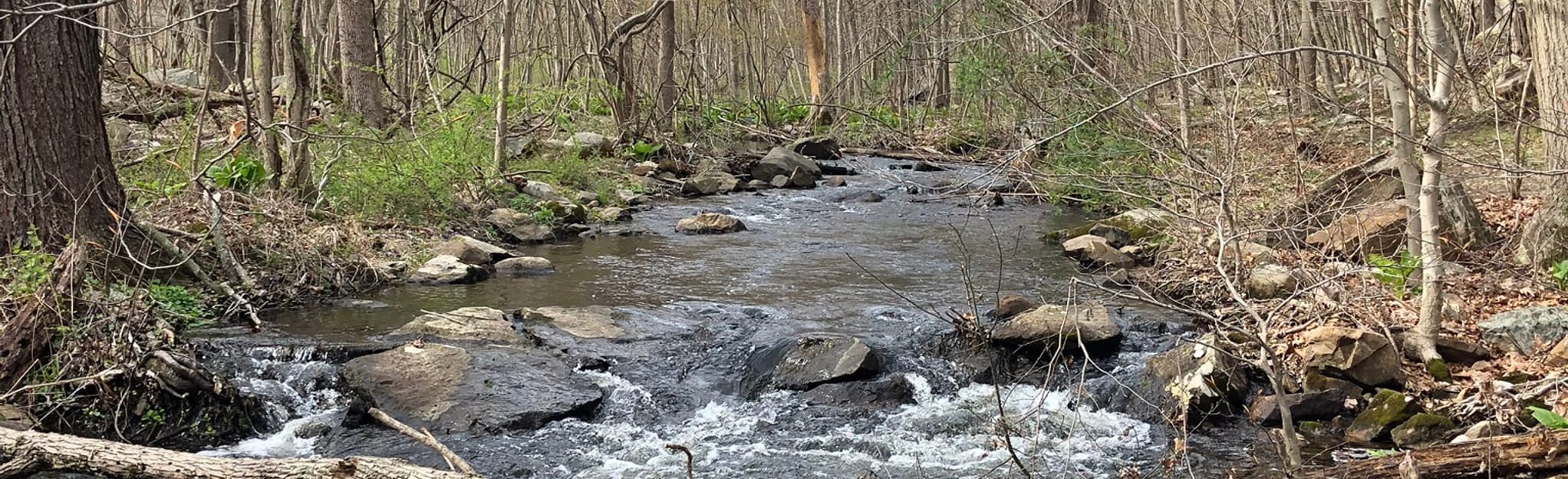 Hudson Highlands Pond Loop: 29 Reviews, Map - New York | AllTrails