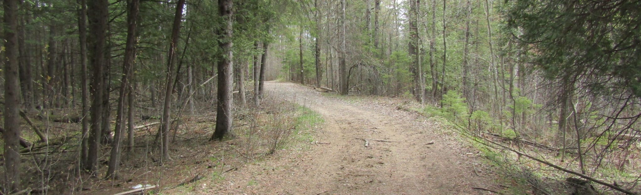Limerick Forest North Trail | Map, Guide - Ontario, Canada | AllTrails