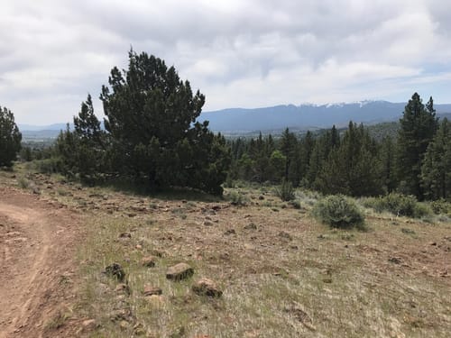 Best Hikes and Trails in Susanville Ranch Park | AllTrails