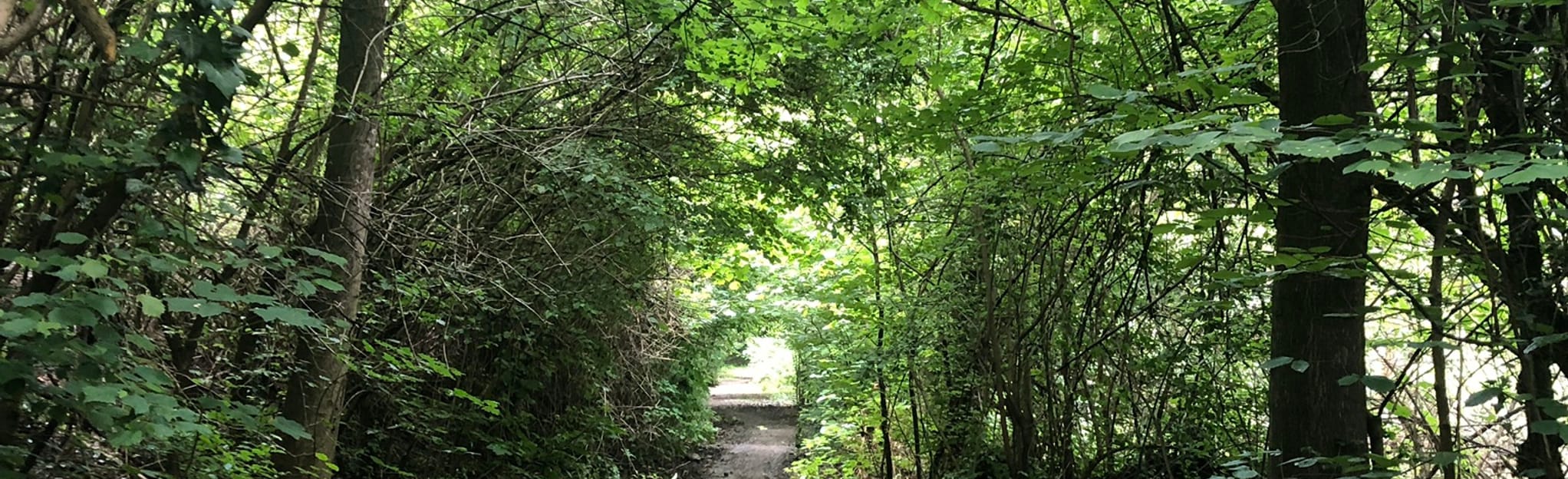 Ancienne rue de Chieri dans les collines de Turin : 11 Photos - Piémont ...