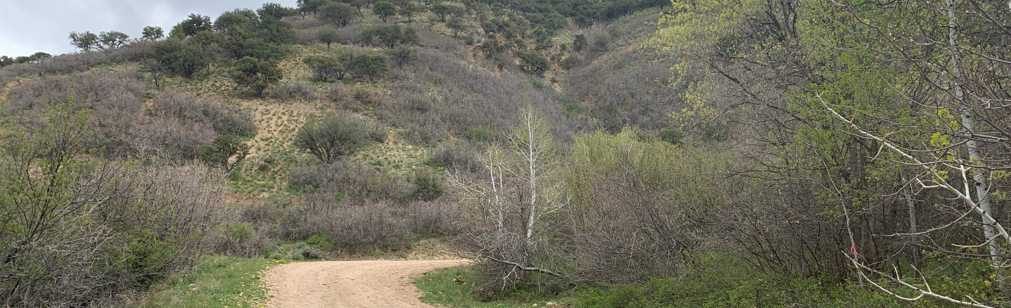 Lower & Upper Lariat Trail to Lower & Upper Rodeo Trail Loop: 11 ...