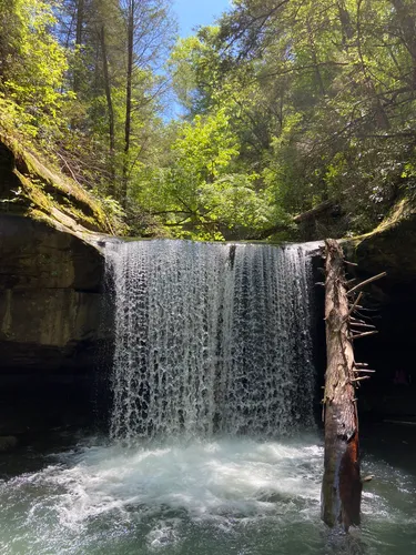 10 Best Waterfall Trails in Daniel Boone National Forest | AllTrails