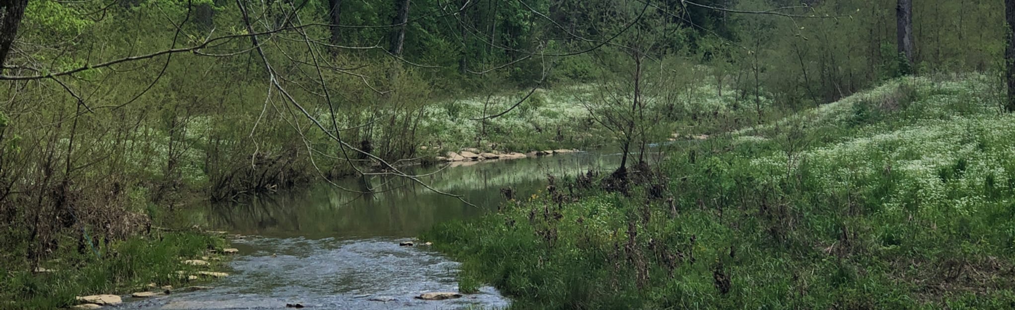 Kleber Wildlife Area via Cedar Road, Kentucky - 29 Reviews, Map | AllTrails