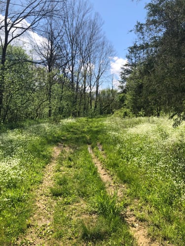 Best Hikes and Trails in Kleber Wildlife Management Area | AllTrails