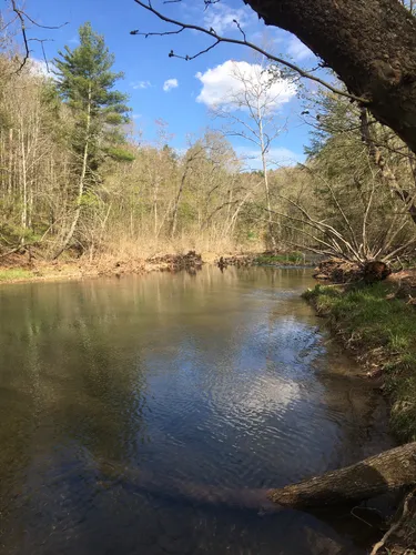 Best Hikes and Trails in Green Ridge State Forest | AllTrails