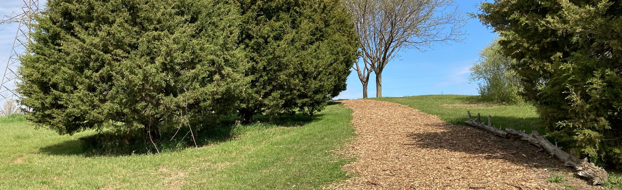 Oppd Arboretum, Nebraska - 82 Reviews, Map | AllTrails