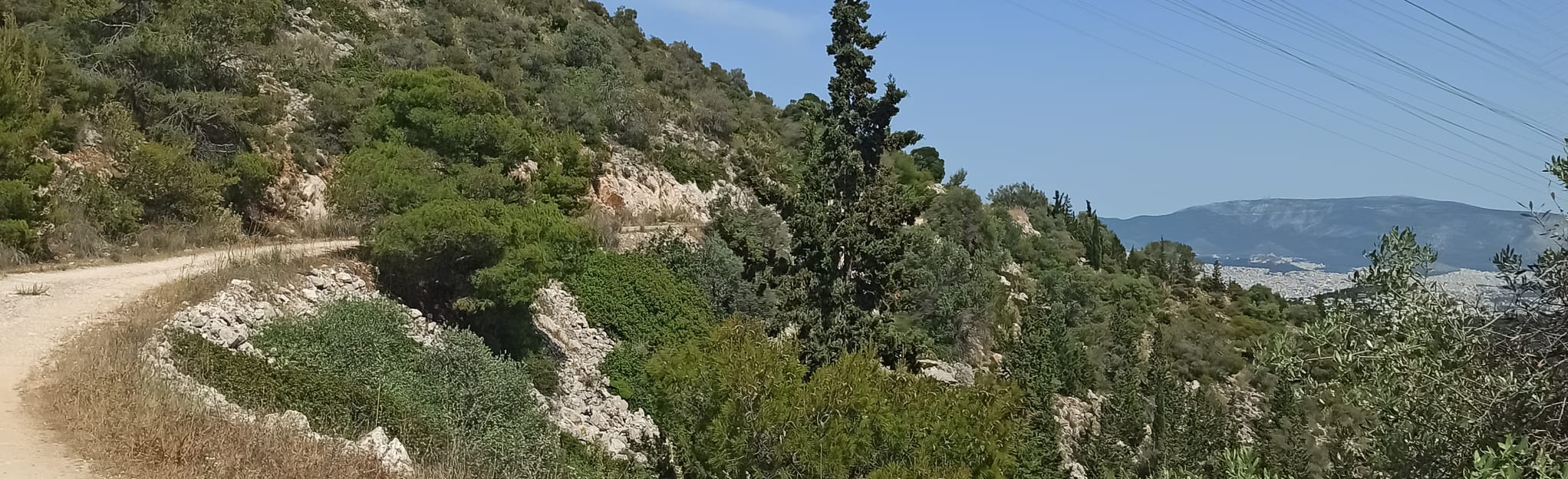 Dafni - Kapsalona Loop: 13 Reviews, Map - Attica, Greece | AllTrails