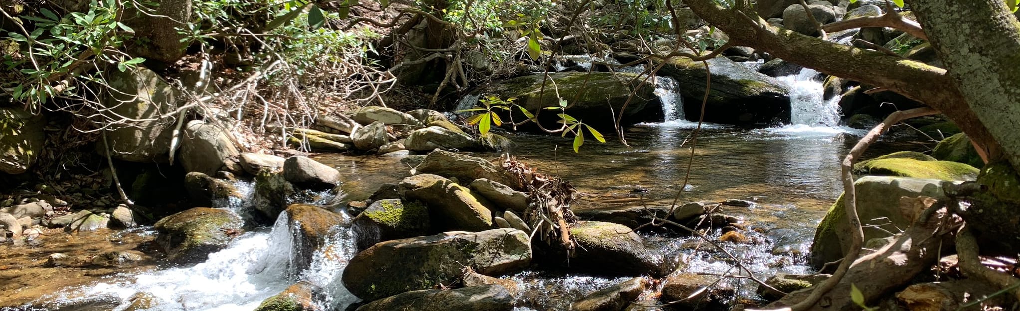 Greybeard Falls via Greybeard Mountain Trail, North Carolina - 726 ...