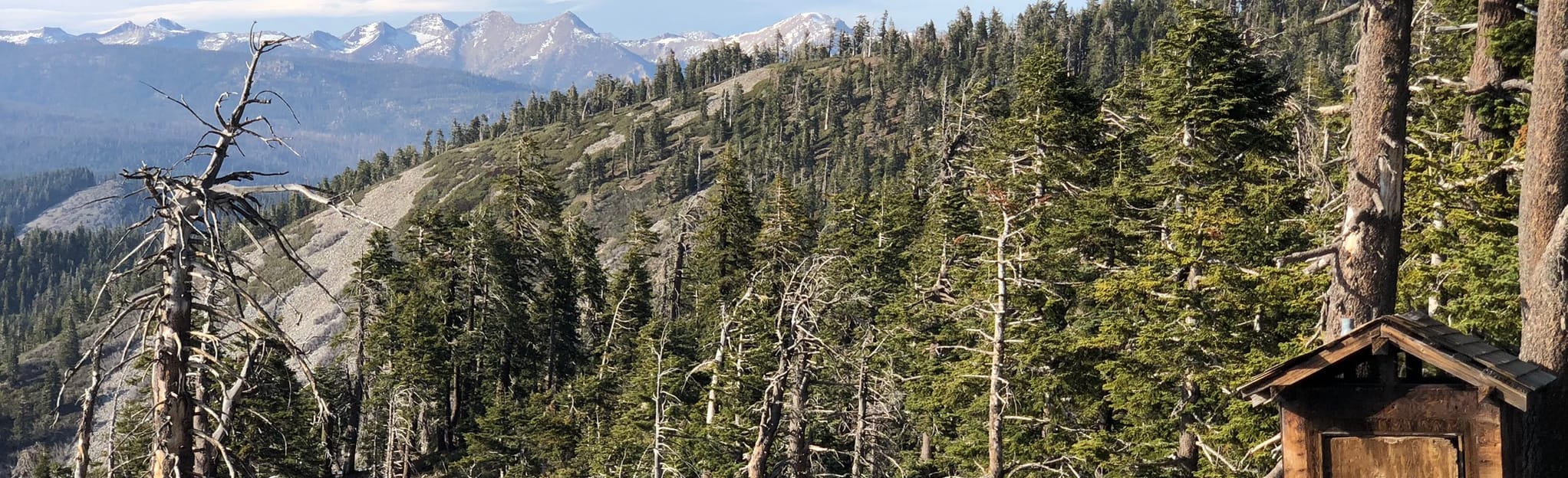 Jordan Peak Lookout Trail: 14 Reviews, Map - California | AllTrails