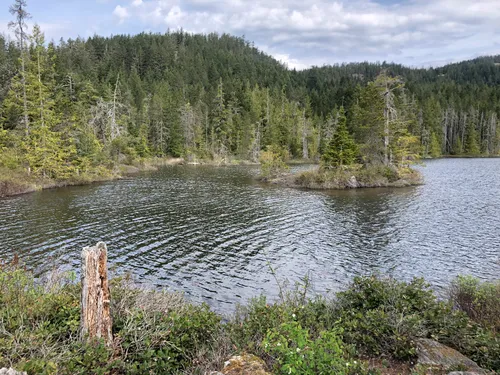 Best Forest Trails in Sooke Mountain Provincial Park | AllTrails