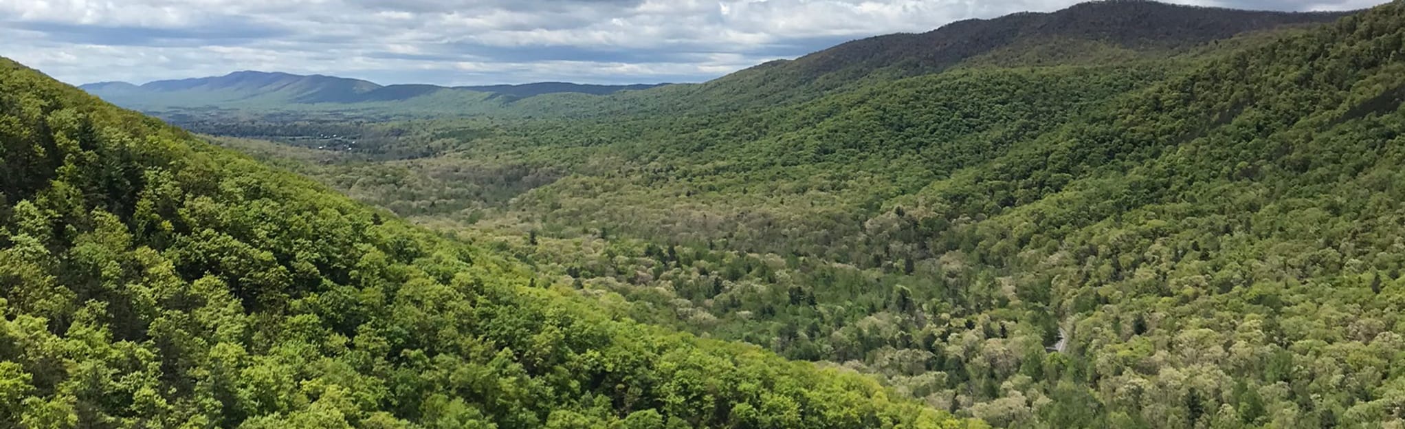 High Peak via Buzzard Rock, Virginia - 334 Reviews, Map | AllTrails