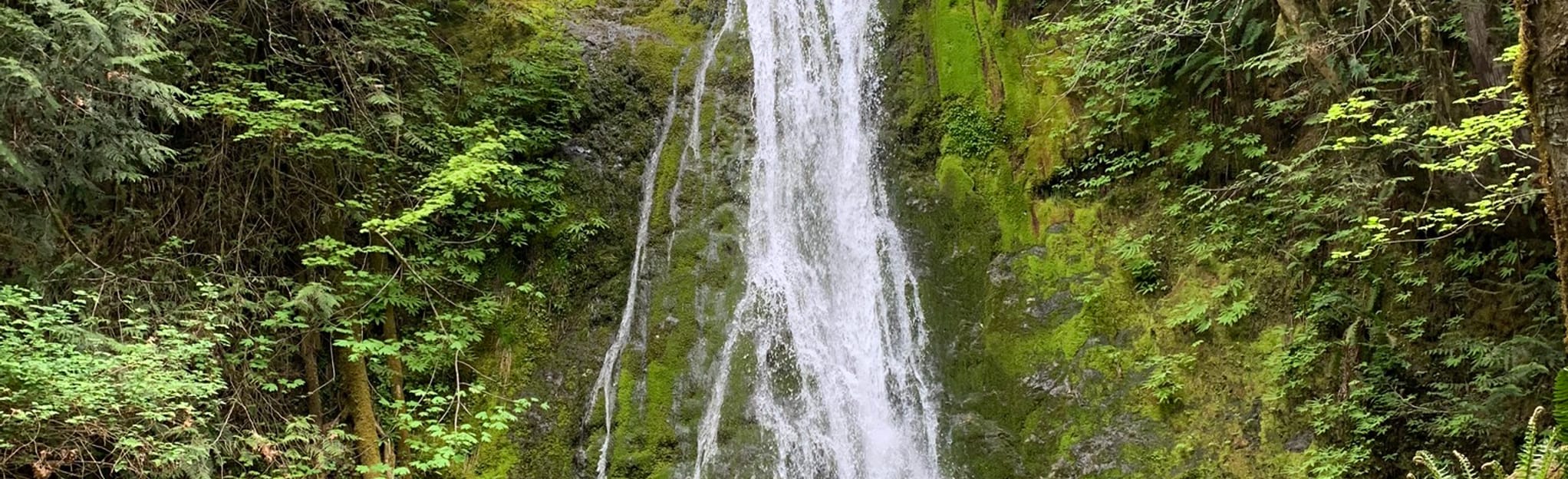 Madison Falls Trail: 845 Fotos - Washington | AllTrails