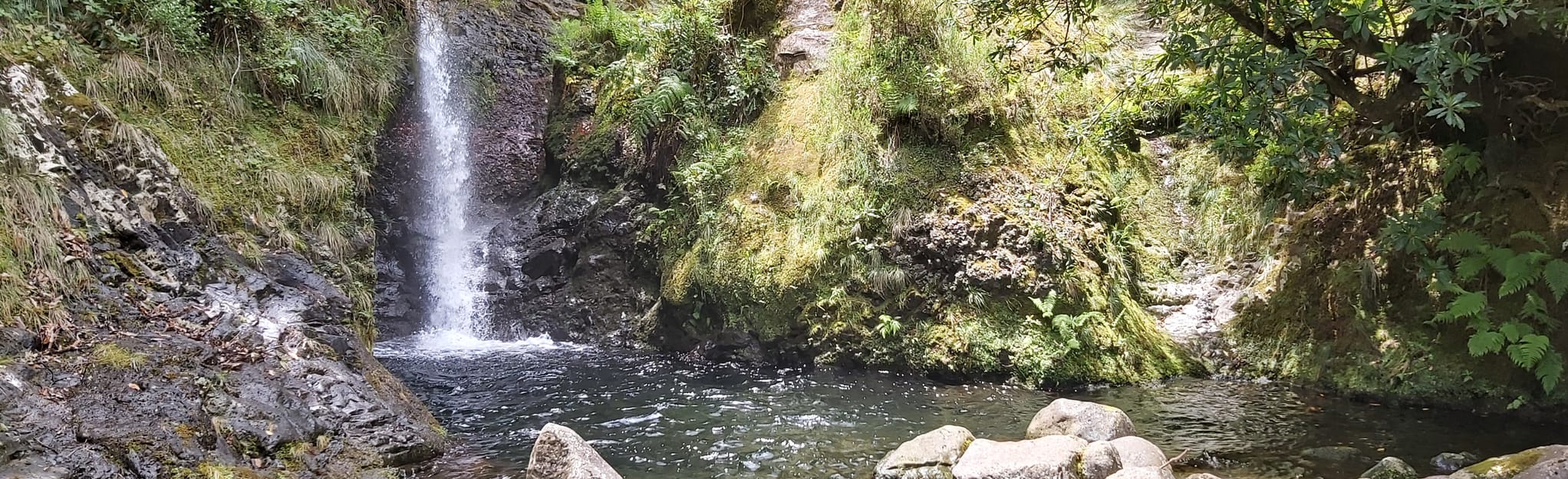 Rota dos Viveiros das Trutas: 22 foto's - Madeira, Portugal | Wandelen ...