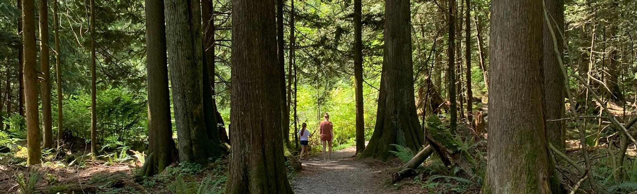 Grant Hill Summit, British Columbia, Canada - 42 Reviews, Map | AllTrails