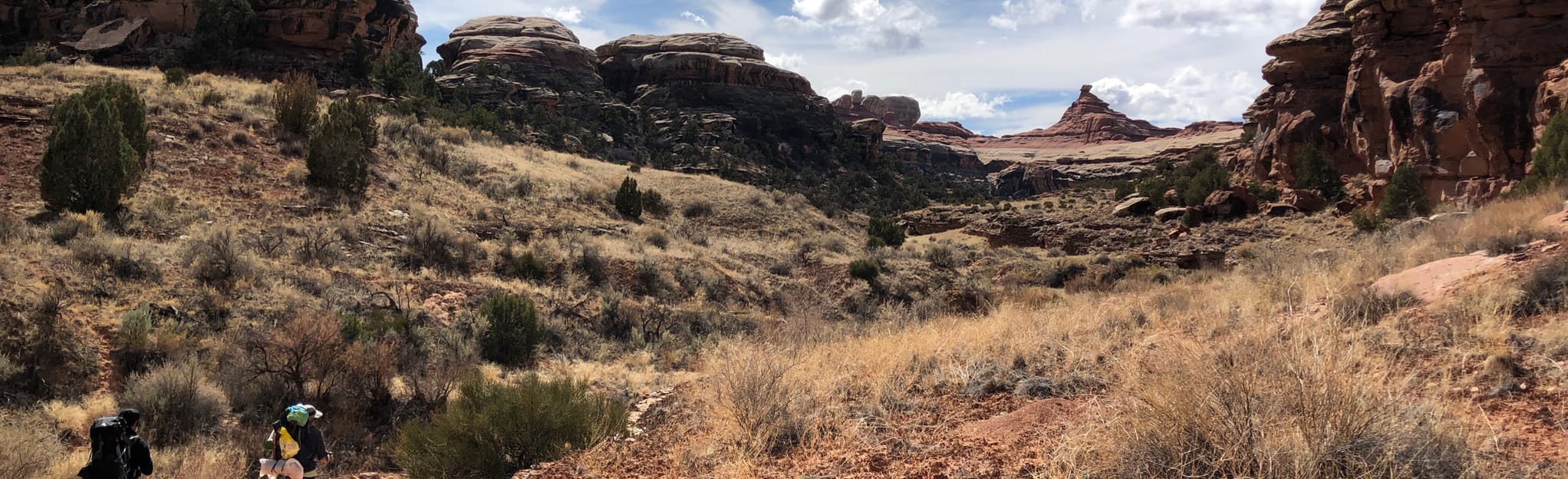 Salt Creek Canyon Trail: 30 Reviews, Map - Utah | AllTrails