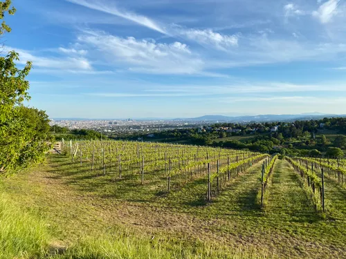 10 Best Trails and Hikes in Vienna | AllTrails