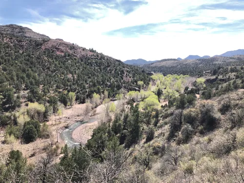 Best Hikes and Trails in Blue Range Primitive Area | AllTrails