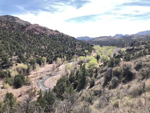 2023 Best trails in Blue Range Primitive Area | AllTrails