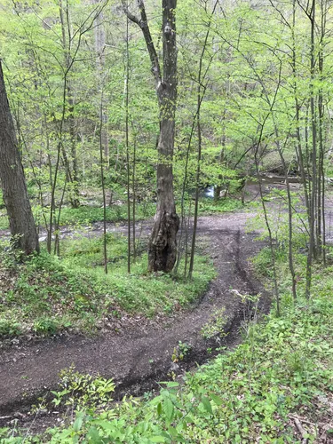 Best Hikes and Trails in Braddocks Trail Park | AllTrails