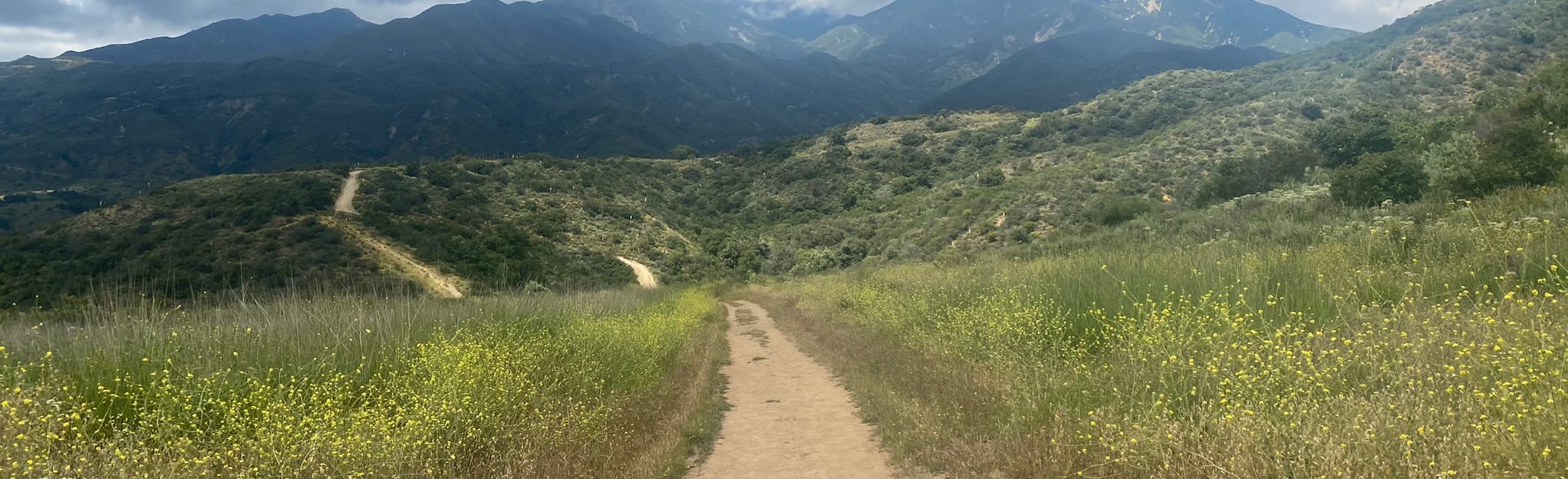 Bell View Trail Loop, California - 240 Reviews, Map | AllTrails