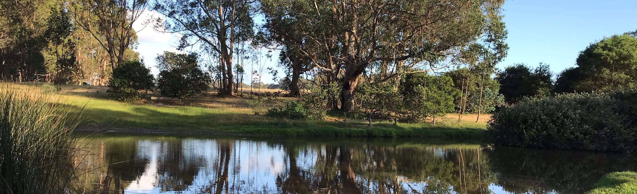 Dotson Marsh to Point Pinole Pier: 149 Reviews, Map - California ...