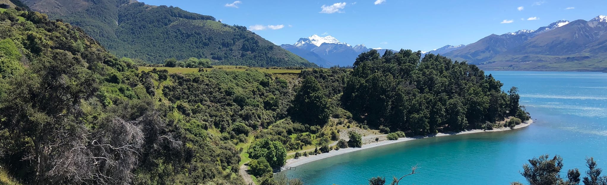 Lake Rere Loop Track: 52 Reviews, Map - Otago, New Zealand | AllTrails