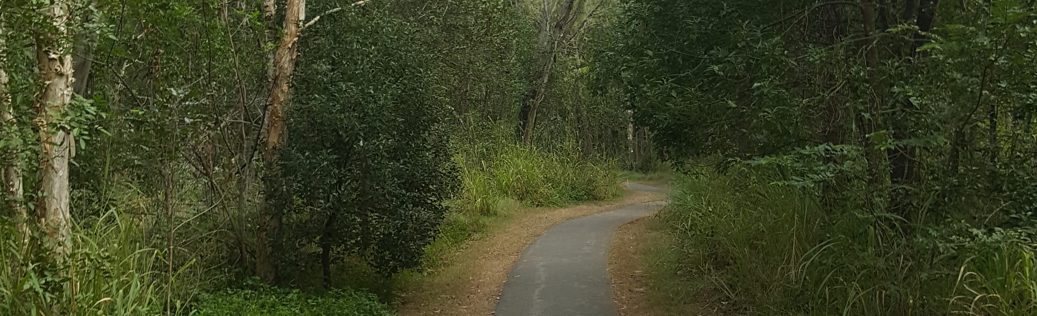 Holmead Park and Malinya Place Park via Bulimba Creek Bikeway: 60 ...