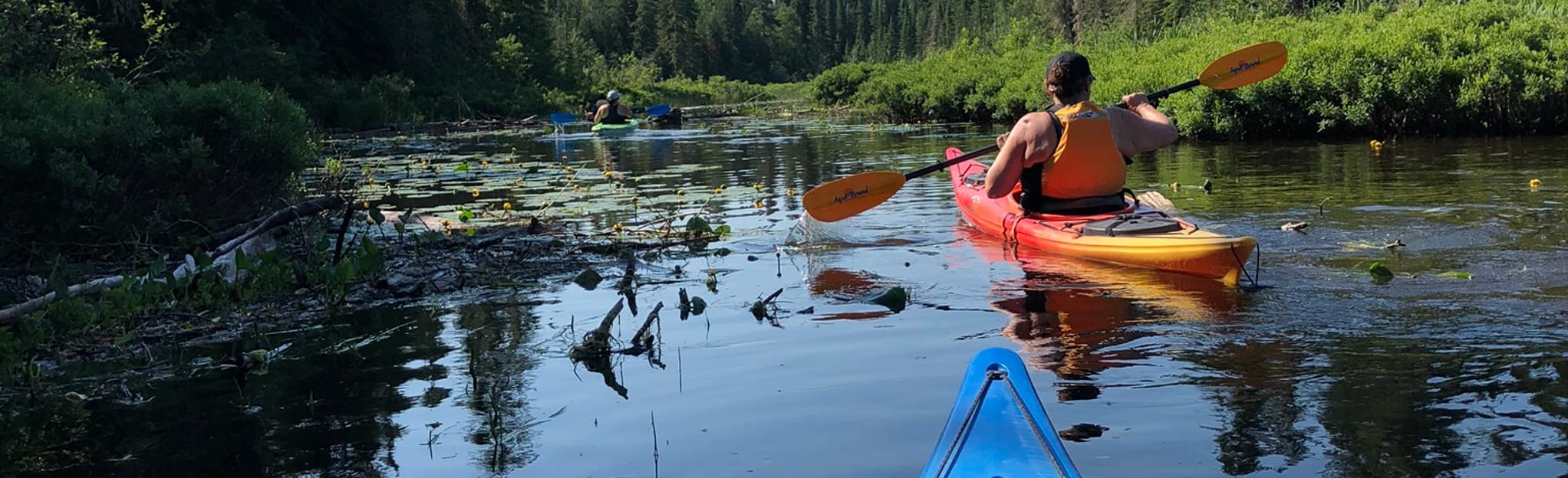 Fushimi Lake to Stoddart Lake via Stoddart Creek Paddle: 3 Photos ...