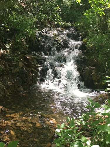 2023 Best 10 Trails and Hikes in Corner Brook | AllTrails