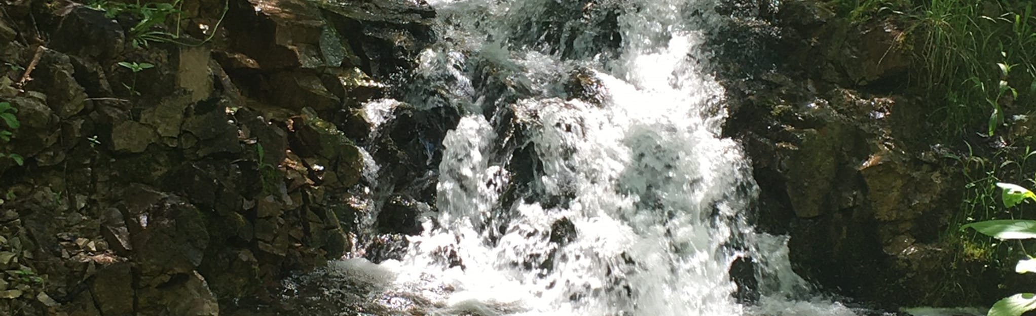 Link Pond Falls: 4 Reviews, Map - Newfoundland and Labrador, Canada ...