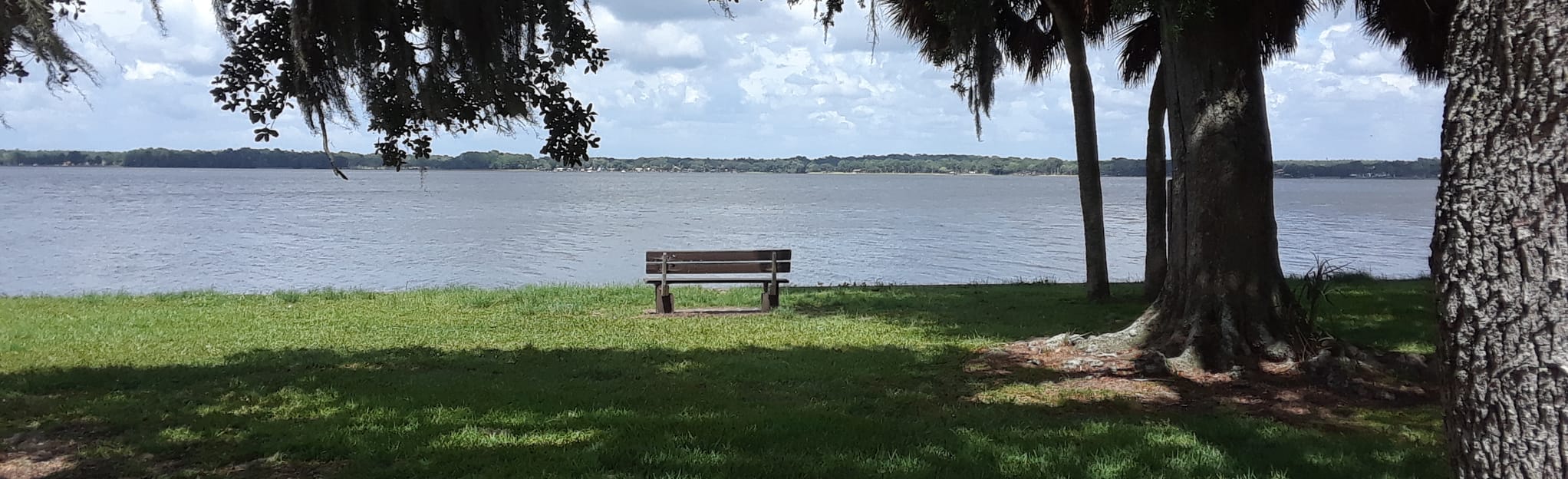 Anderson Park Trail - Florida | AllTrails