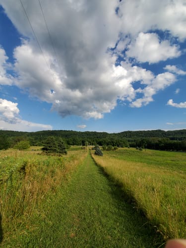 Best 10 Hikes and Trails in Cromwell Valley Park | AllTrails