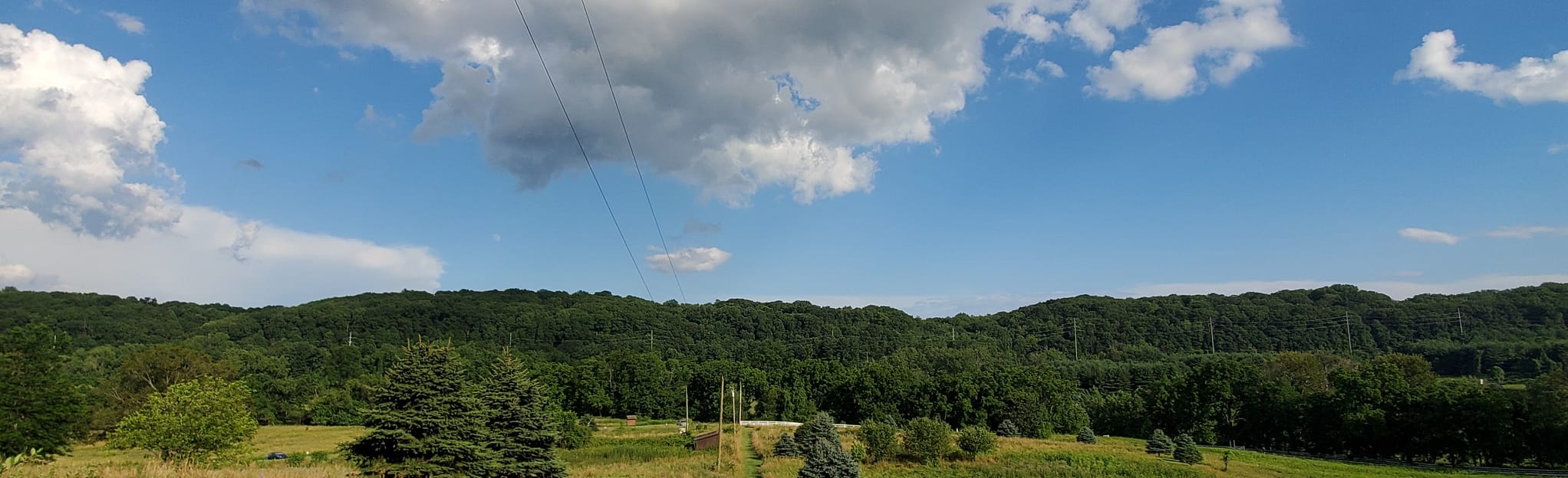 Willow Grove to Meadow Trail, Maryland - 70 Reviews, Map | AllTrails