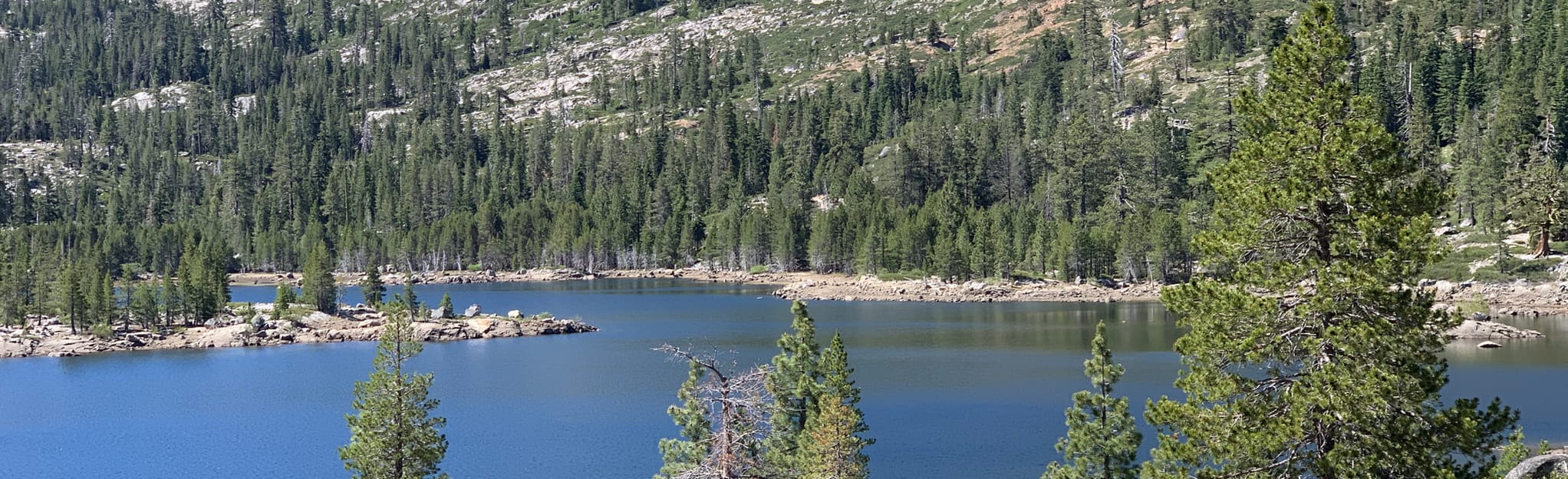 Rubicon Trail: 135 Reviews, Map - California | AllTrails