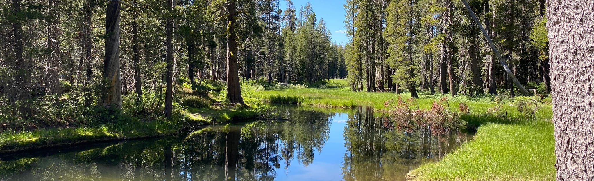 Rockbound and Old Corral Trail Loop, California - 36 Reviews, Map ...