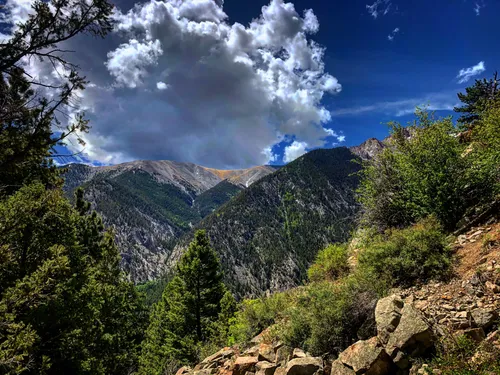 10 Best Hikes and Trails in San Isabel National Forest | AllTrails